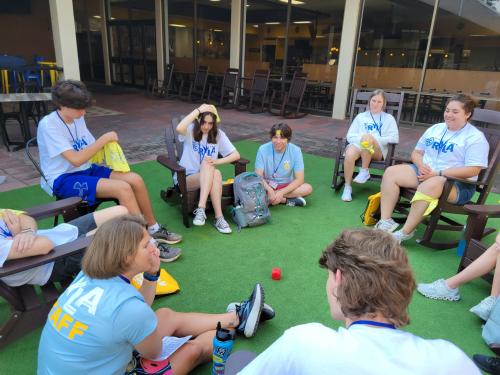 Rotary Youth Leadership Awards (RYLA)